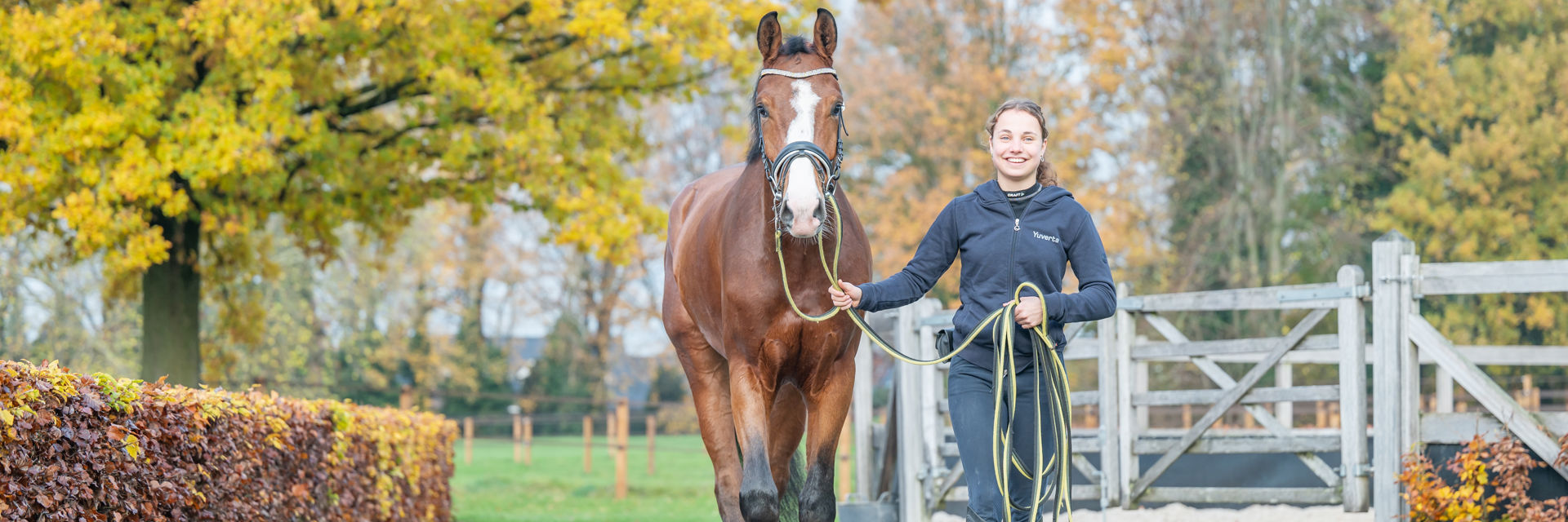 Dier en gedrag: oriëntatie paard | Yuverta mbo