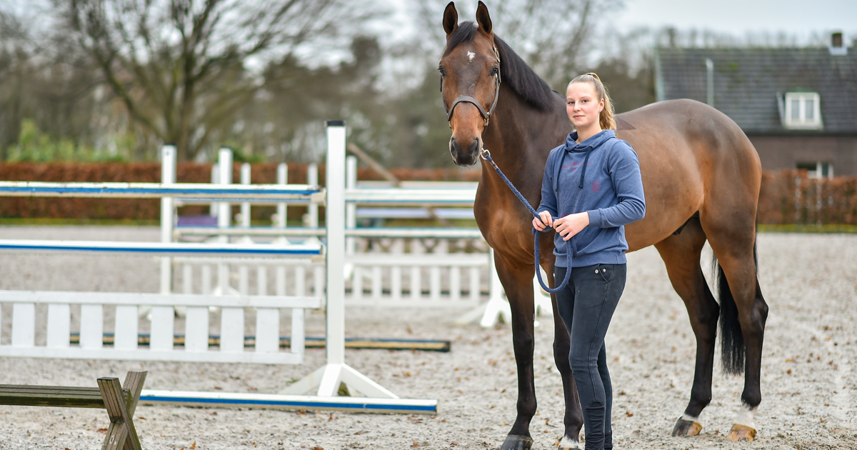 Dier en gedrag: oriëntatie paard | Yuverta mbo