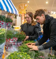 Entree opleidingen Yuverta | mbo niveau 1 opleidingen