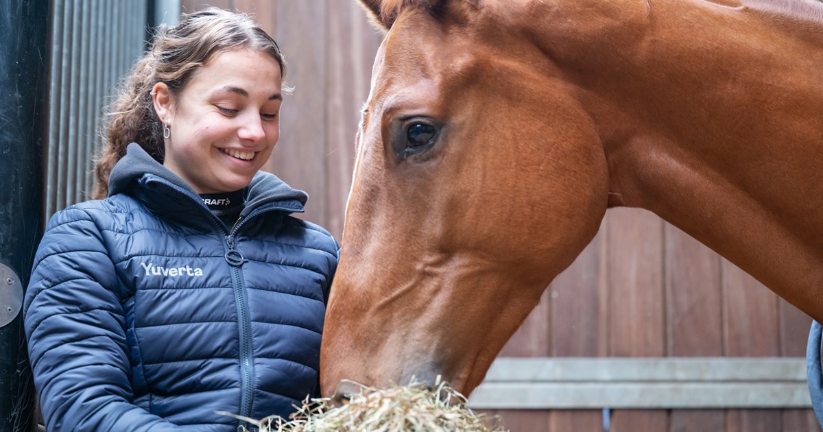 Paard opleidingen | Yuverta mbo