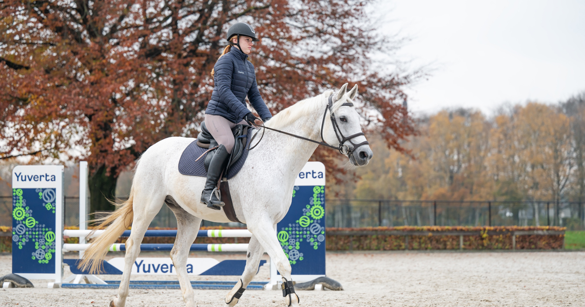 Equine Sports and Management | Yuverta mbo