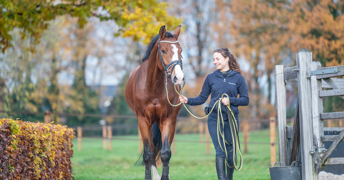 Paardensport en -houderij | Yuverta mbo