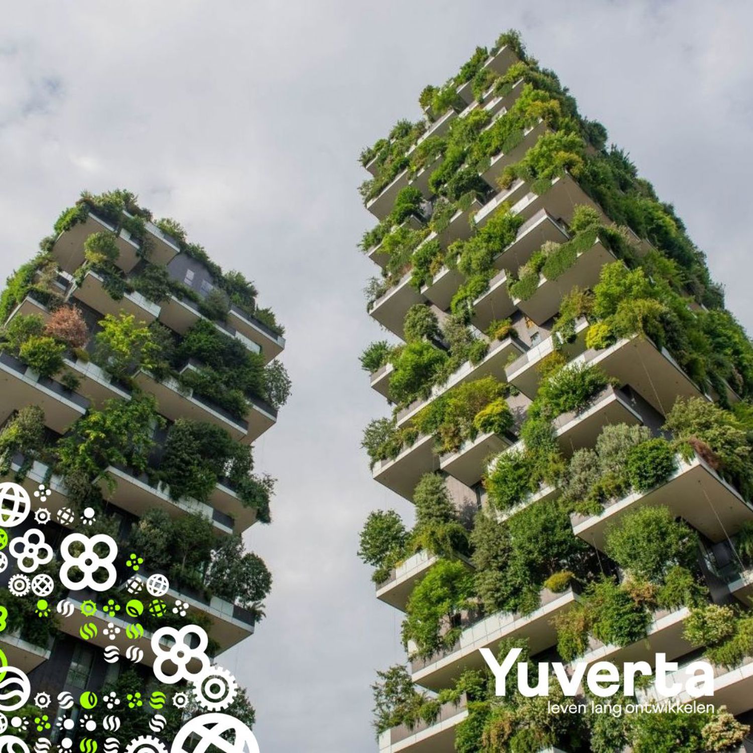 Yuverta mbo Rotterdam