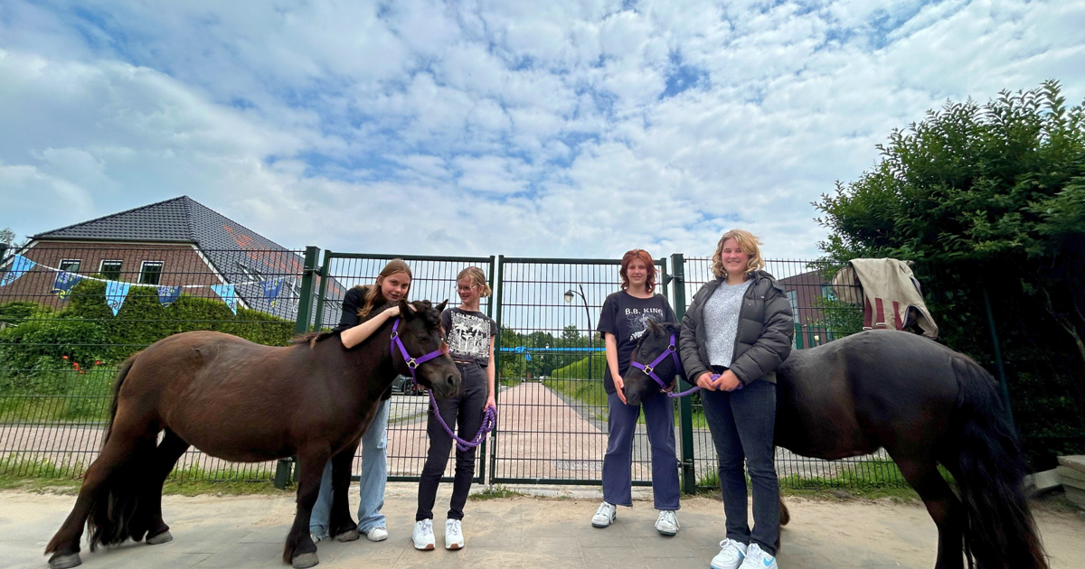 Yuverta-leerlingen openen nieuwe paddock voor pony's