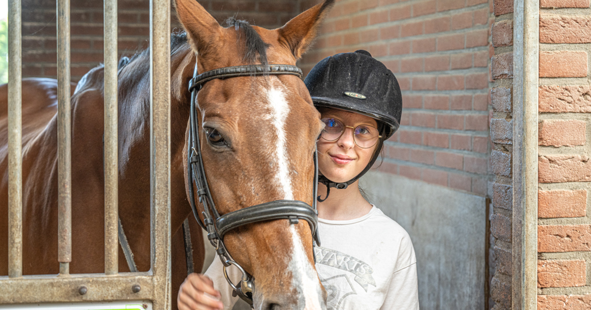 Paardenklas